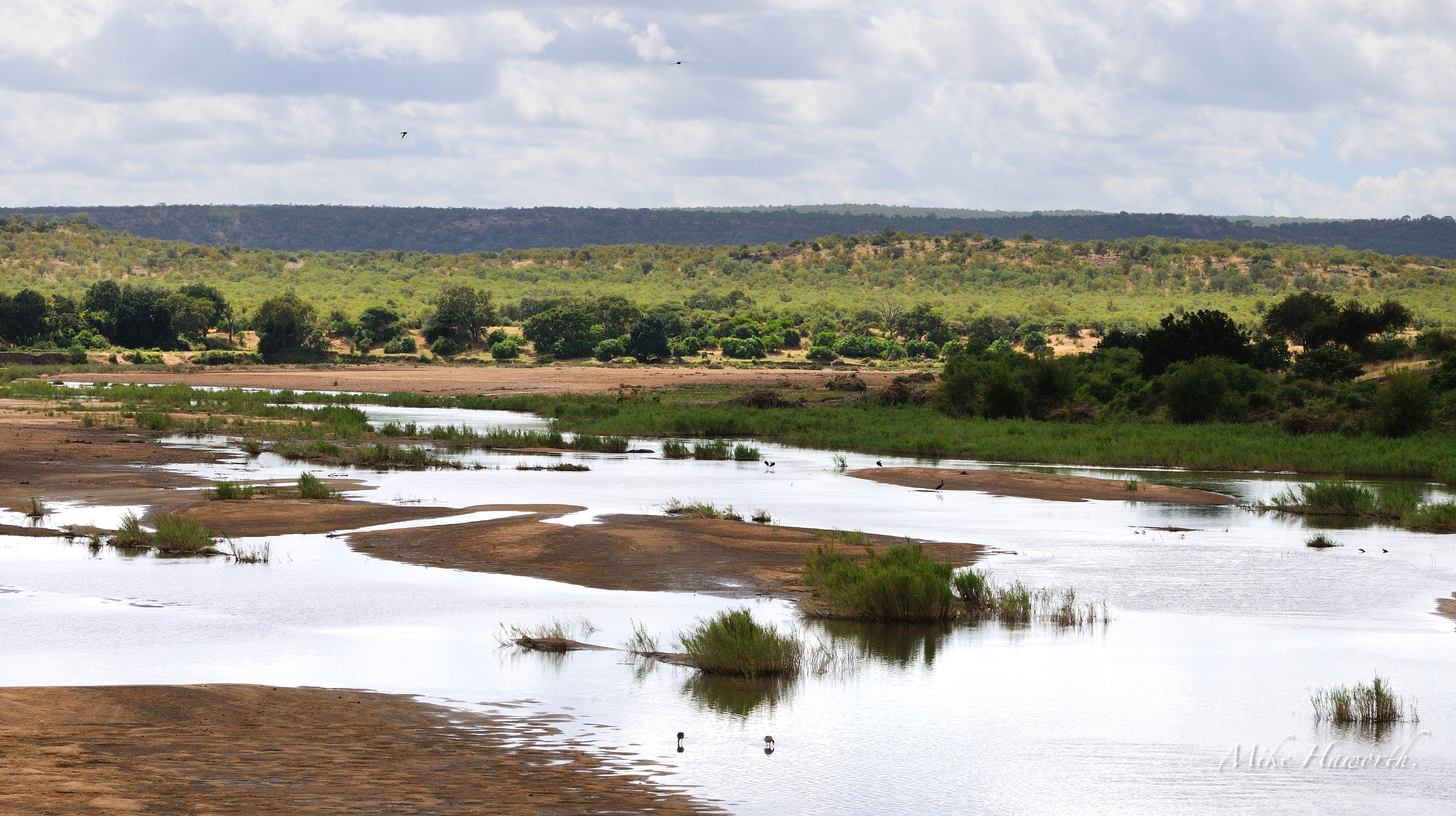 Kruger Park Rivers | Howie's Wildlife Images
