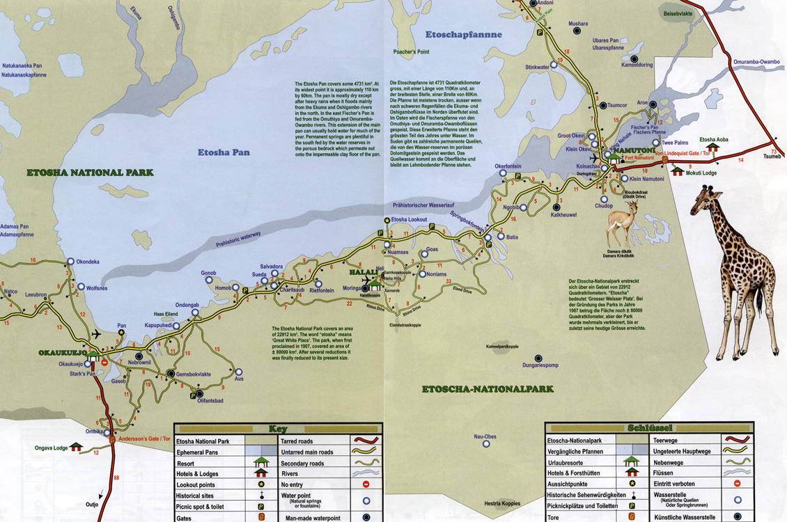 etosha_map | Howie's Wildlife Images