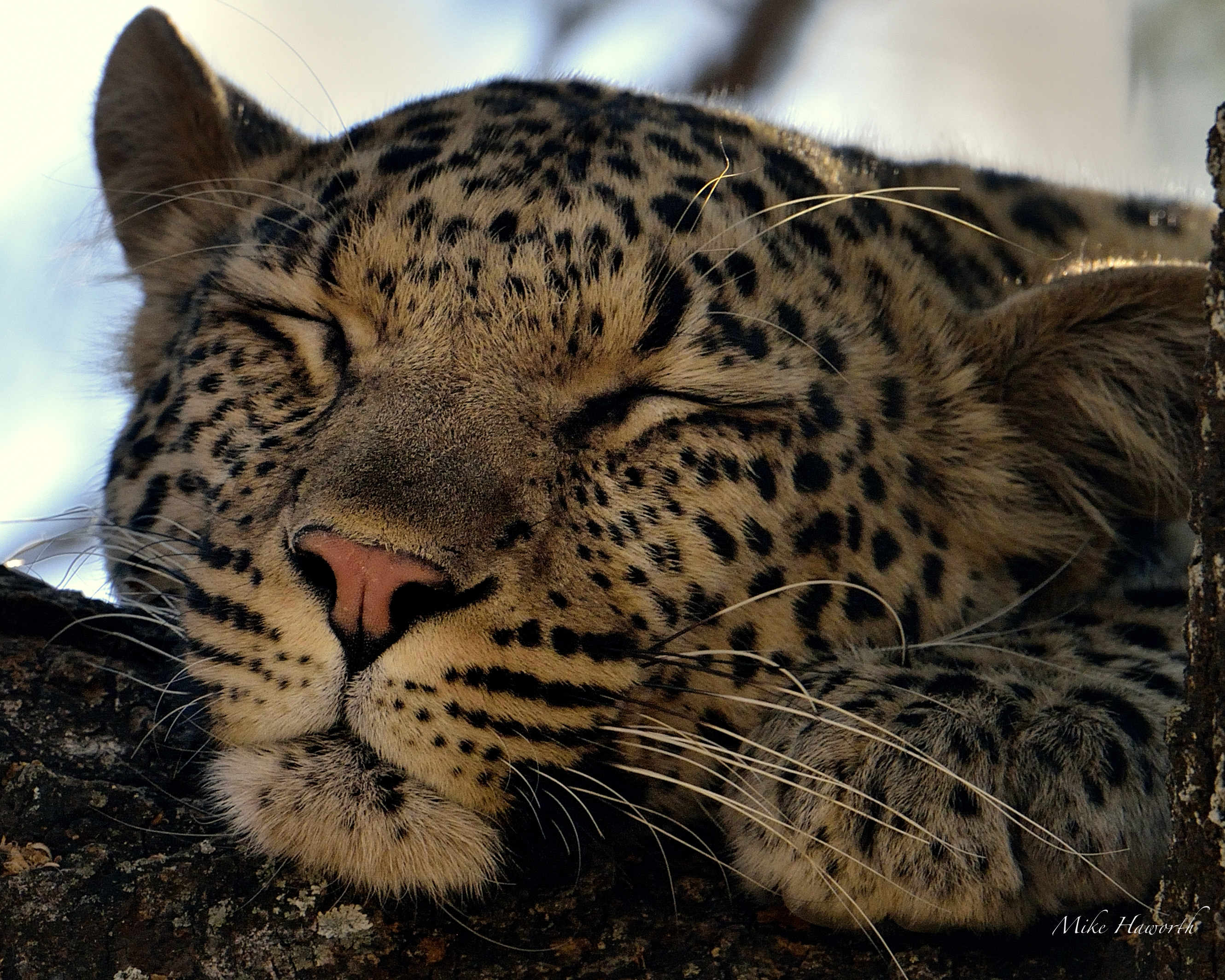 September | 2014 | Howie's Wildlife Images