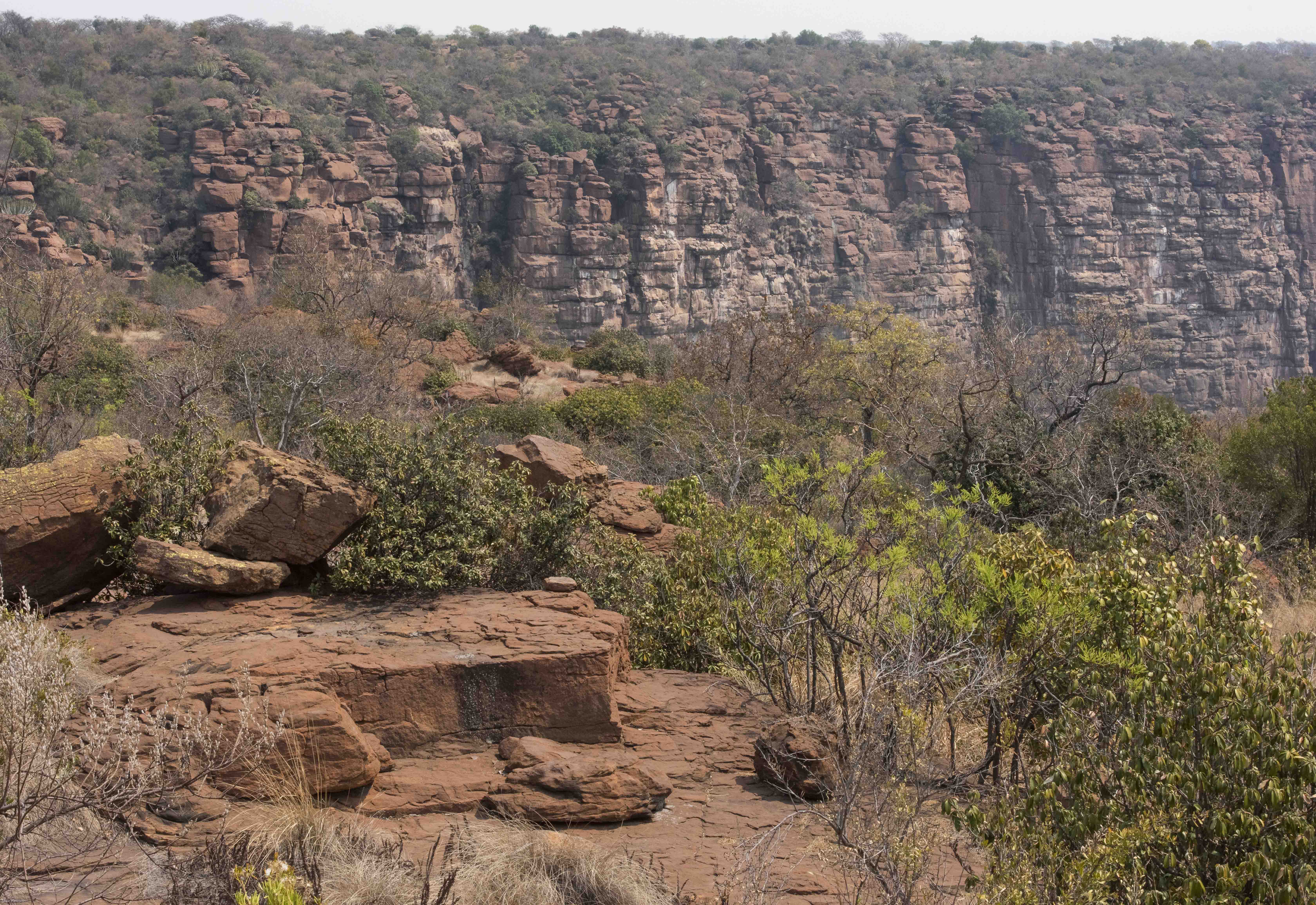 Eagle Rock | Howie's Wildlife Images