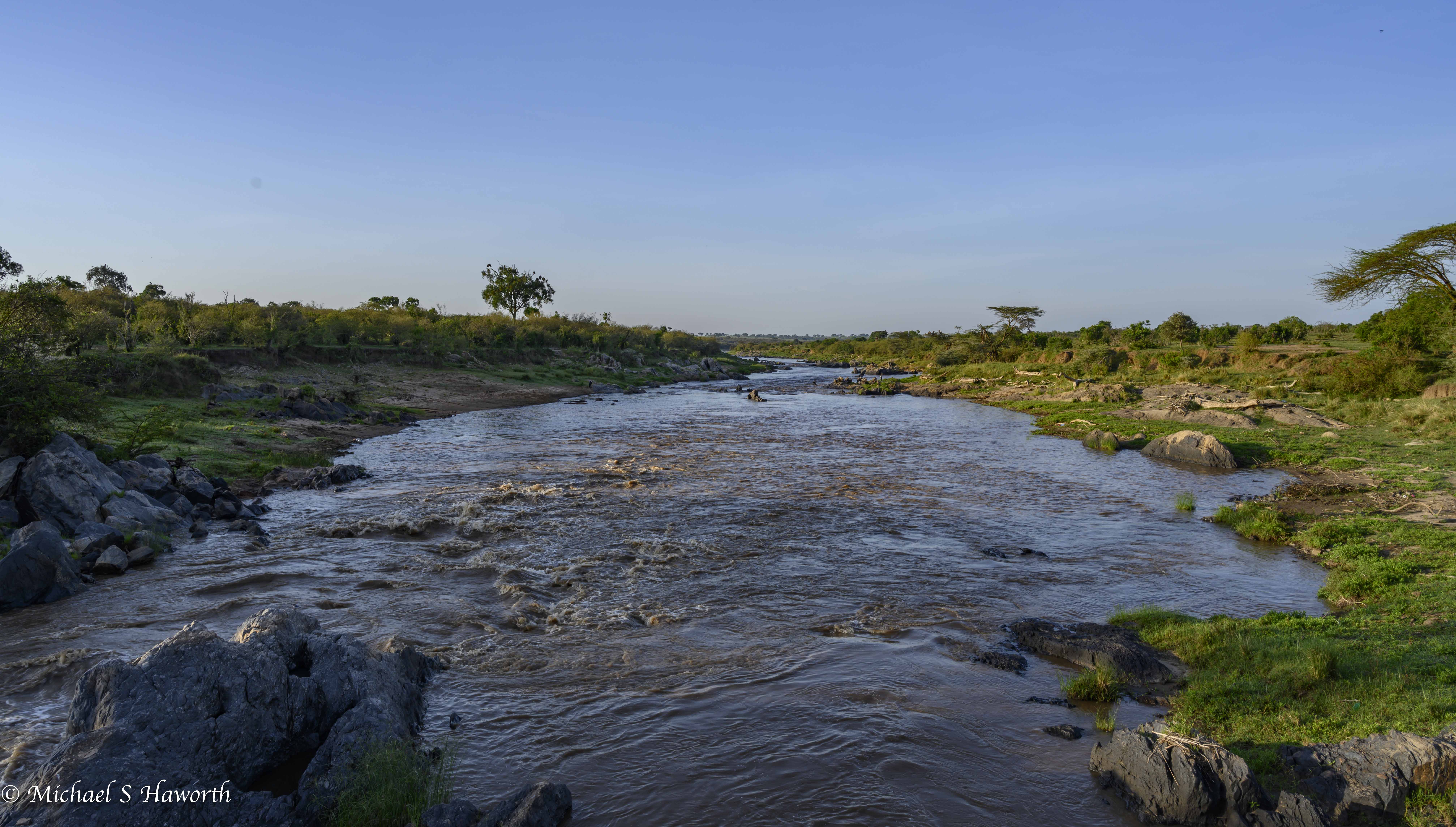 Masai Mara: along the Mara river | Howie's Wildlife Images