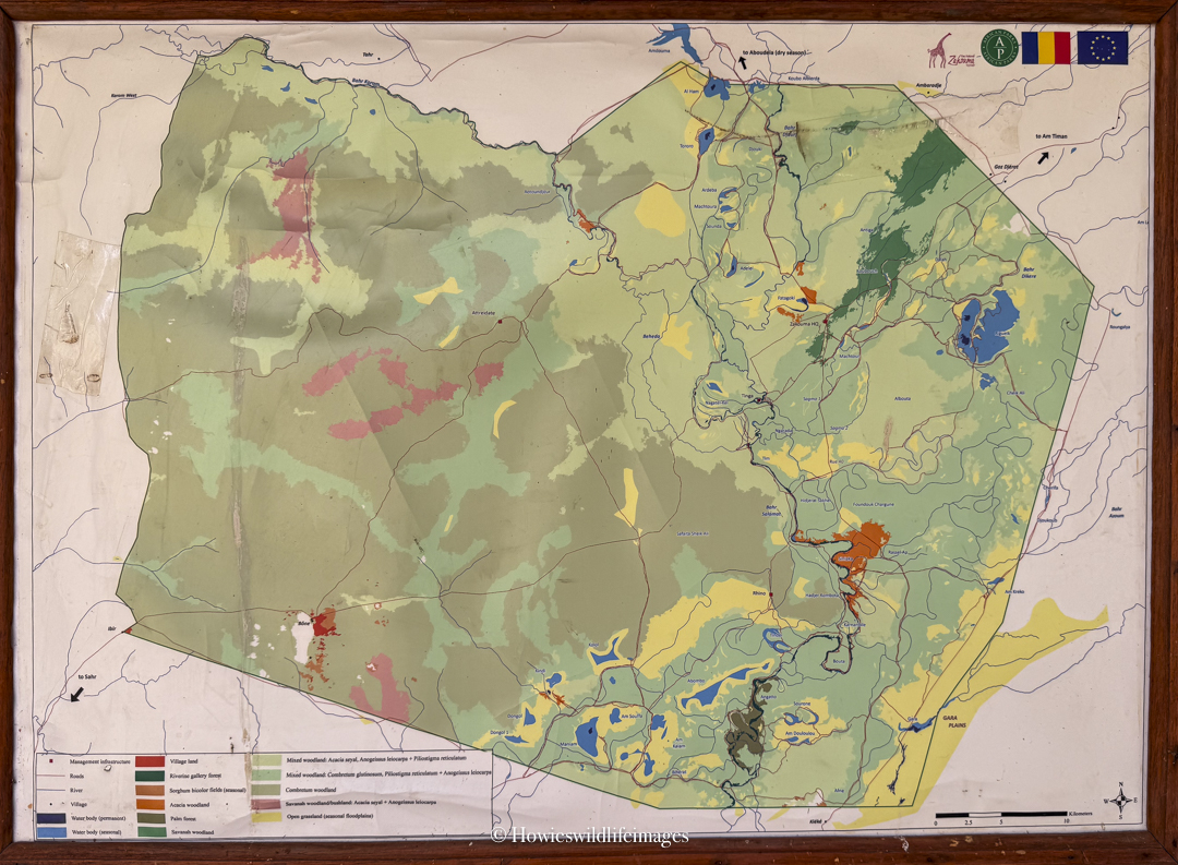 Zakouma – jewel of the Sahel | Howie's Wildlife Images