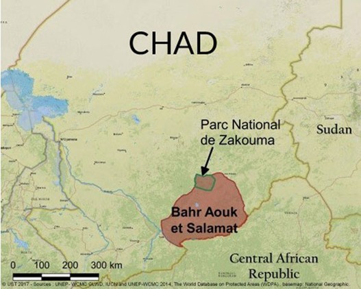 Zakouma – Sahel super congregations | Howie's Wildlife Images